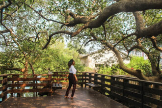 17 Best Offbeat Places in Goa - The Spicy Journey